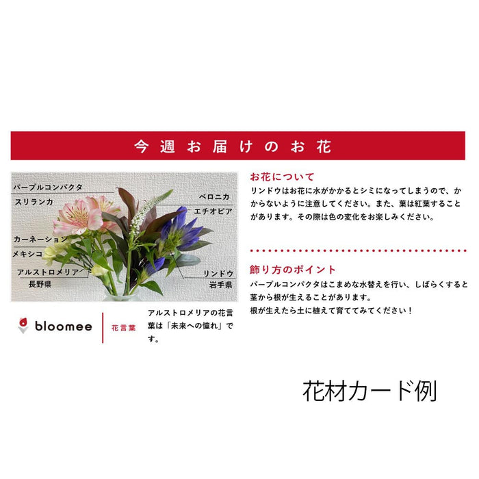 仏花の定期便(月1回プラン) 8本セット | お仏壇のはせがわ公式通販 仏花の定期便(月1回プラン) 8本セット | お仏壇のはせがわ公式通販